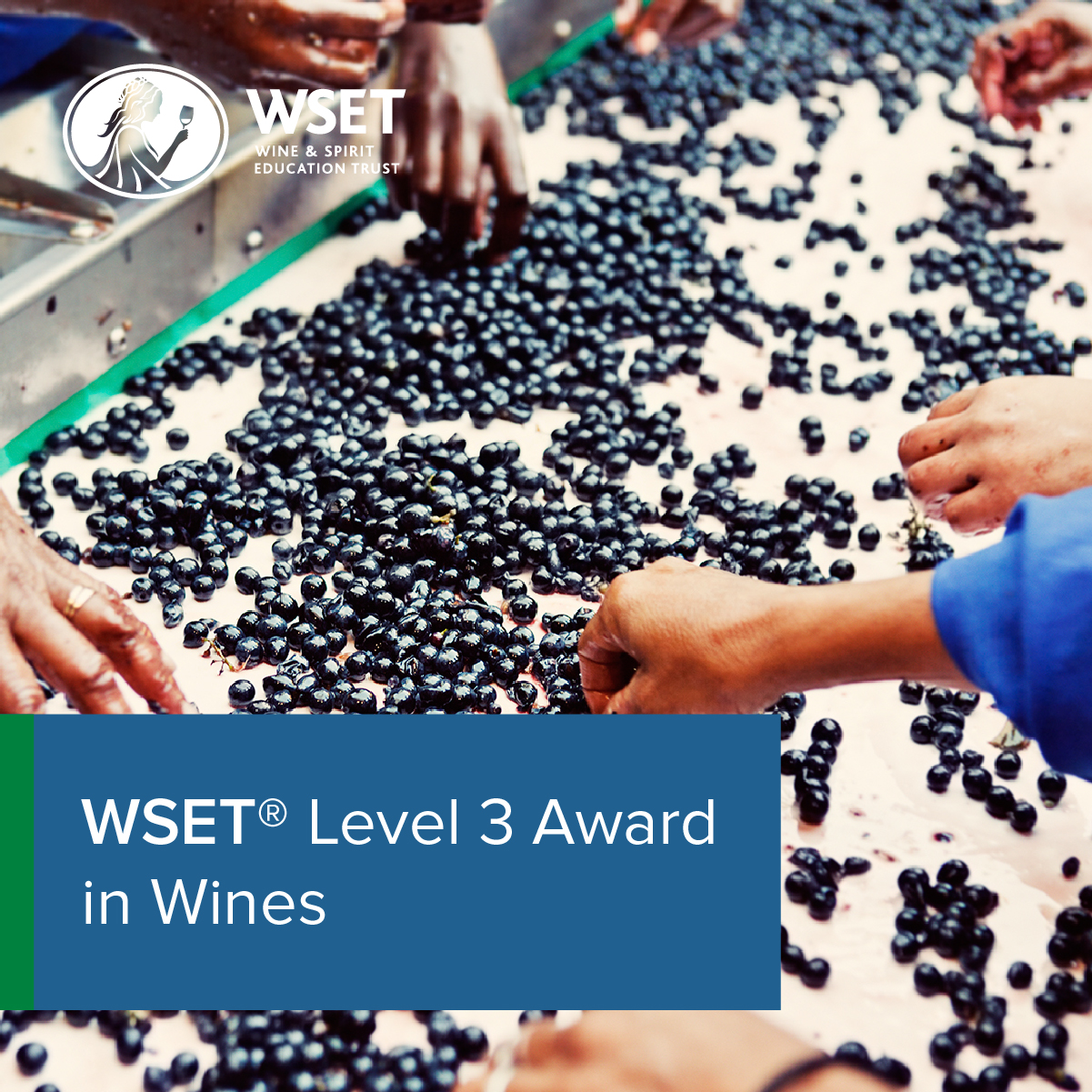 WSET® Level 3 Award in Wines - Slate Wine & Spirits Academy
